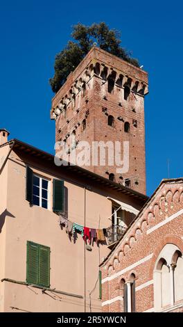 medieval Torre Guinigi tower with trees on its top, Lucca, Tuscany ...