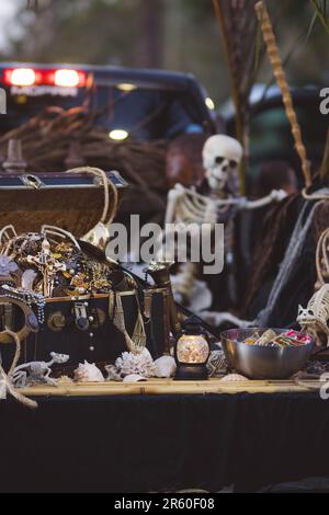 A skeleton is laying on the ground in a field. The skeleton is ...