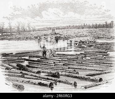 Logs are floating in the river Stock Photo - Alamy