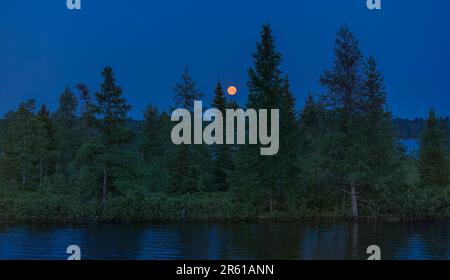 The strawberry moon setting over a bog on the Chippewa Flowage in ...