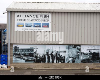 A fish shop in Amble, Northumberland, UK Stock Photo - Alamy