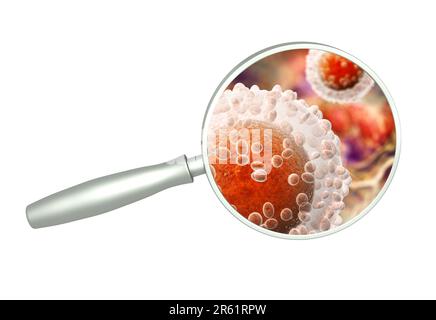Magnifying glass and pathogenic bacterias and viruses. Fast ...