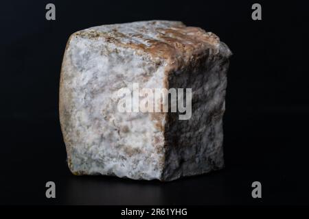 Piece of cheese fermented by bacteria with fungus and mold Stock Photo ...
