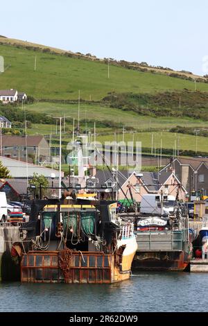 Colorful houses and boats lining Dingle Harbour in Dingle, Ireland ...