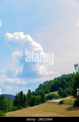 This captivating photograph showcases the serene beauty of Mount Tara ...
