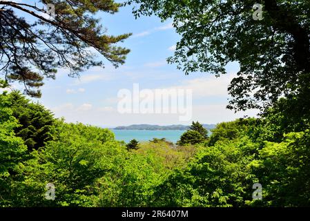 View of Matsushima Bay from Soukanzan Mountain Stock Photo - Alamy
