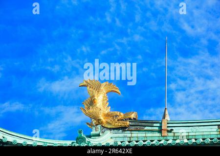 Nagoya Castle, golden shachi Stock Photo - Alamy