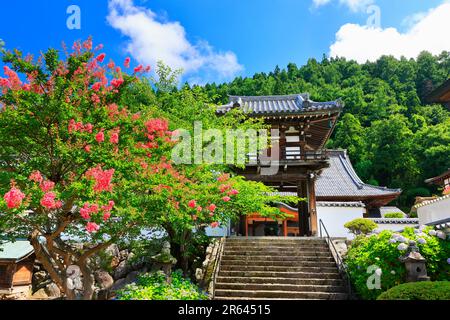 Salisbury and Yokoyuzan Onsenji Stock Photo - Alamy