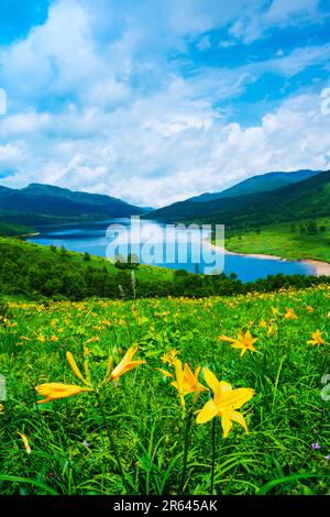 Lake Notan and Nikkoukisuge Stock Photo - Alamy