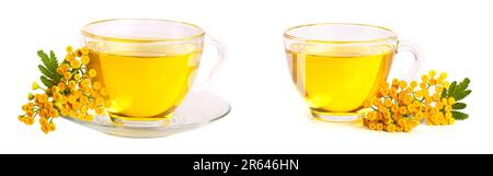 tansy tea with flowers isolated on white background Stock Photo - Alamy