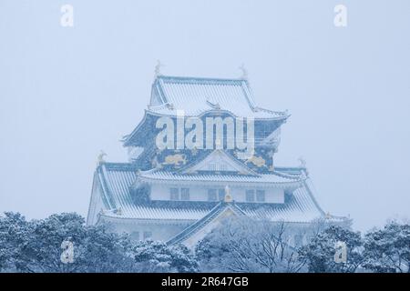 Osaka Castle and snow Stock Photo - Alamy