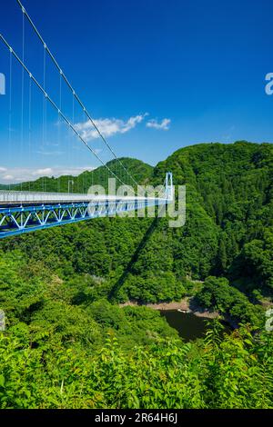 Ryujin Suspension Bridge and bungee jumping Stock Photo - Alamy