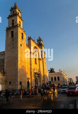 Horse and carriage ride passing the cathedral church in late afternoon ...