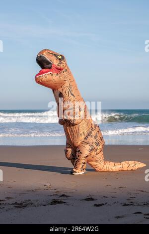 T-rex on the ocean beach in Zumaia, Spain. Dinosaur next to sea Stock ...