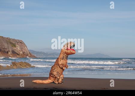 T-rex on the ocean beach in Zumaia, Spain. Dinosaur next to sea Stock ...