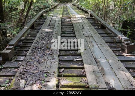 Road bridge, Burro Burro River, Surama, Amerindian village, North ...