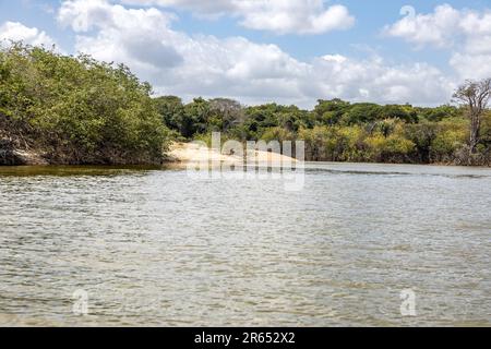 Rupununi River, Upper Takutu-Upper Essequibo region, Guyana Stock Photo ...