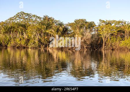 Rupununi River, Rupununi Savannah, Upper Takutu-Upper Essequibo region ...