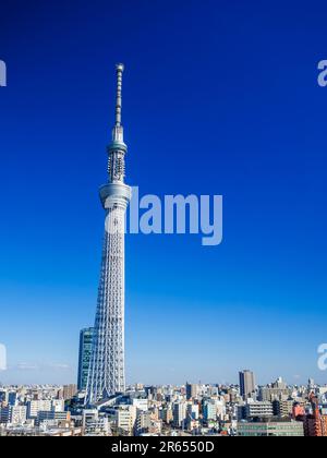 Tokyo, Japan. 25th January 2017. American fashion photographer and ...