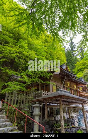 Kibune Shrine in fresh green Stock Photo - Alamy