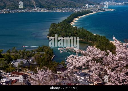 Amano-hashidate and cherry blossoms Stock Photo - Alamy