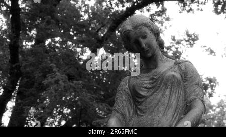 Sculpture of a beautiful woman in a graveyard / cemetery. Sunrays ...