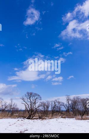 Lake Biwa Shore in Winter Stock Photo - Alamy