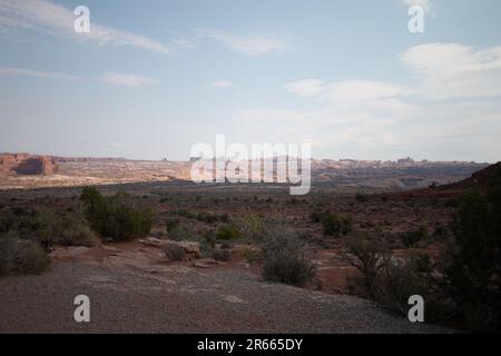 Desert flora, sticks, bushes, and shrubs, in Moab Utah, inside Arches ...