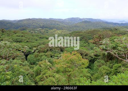 aerial photo of monteverde national park in costa rica, famous cloud ...