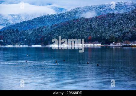 Lake Yogo in Winter Stock Photo - Alamy