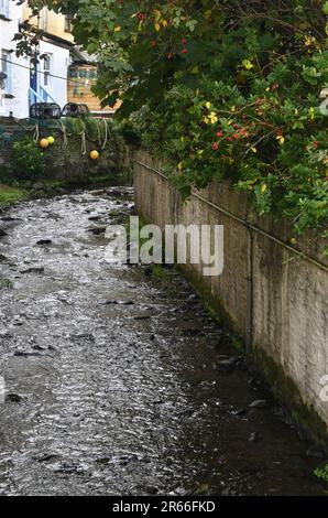 river pol between houses, polperro, cornwall Stock Photo - Alamy