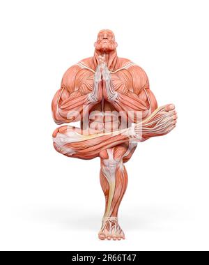 bodybuilder muscle maps is doing a namaste yoga pose in white ...
