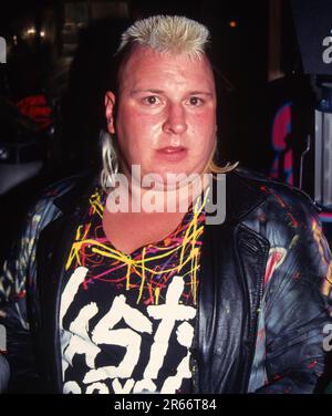 1993 Nasty Boys Brian Knobbs Jerry Sags Photo by John Barrett/PHOTOlink ...