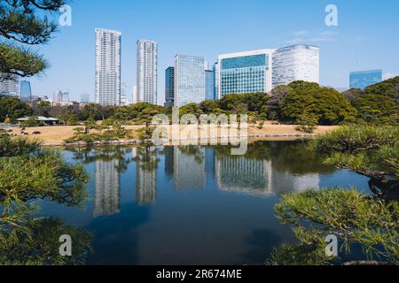 Hamarikyu Gardens in early spring Stock Photo - Alamy