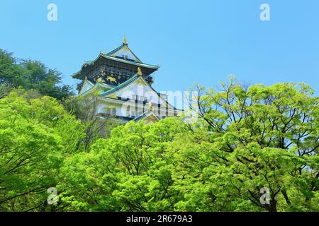 Osaka Castle tower in fresh green Stock Photo - Alamy