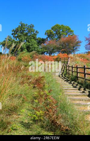 Mt. Wakakusa summit Stock Photo - Alamy