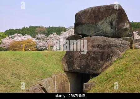 Ishibutai Kofun Tomb and cherry blossoms Stock Photo - Alamy