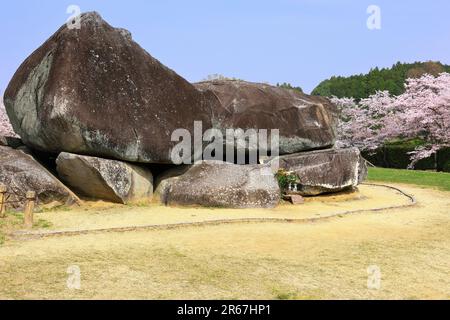 Ishibutai Kofun Tomb and cherry blossoms Stock Photo - Alamy