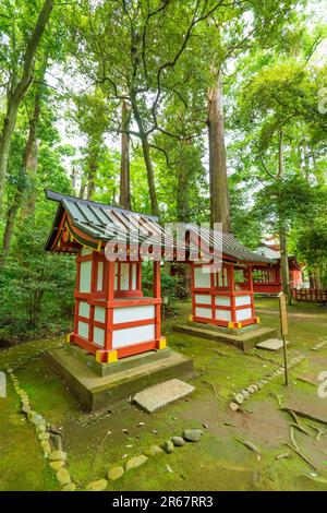 Katori Jingu Shrine in fresh green Stock Photo - Alamy