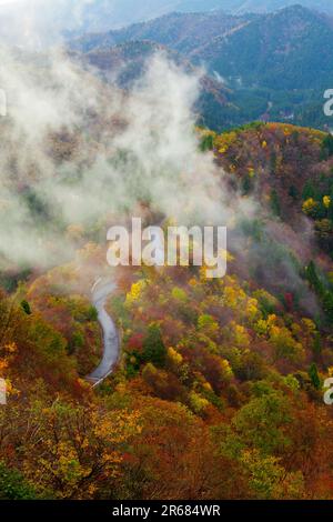 Autumn Leaves at Onyu Pass Stock Photo - Alamy