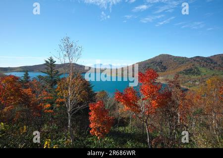 Lake Notan in Autumn Leaves Stock Photo - Alamy