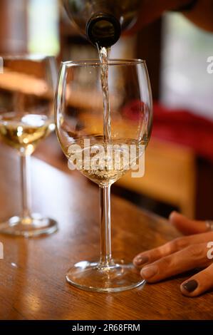 Tasting of variety of rioja wines, visit of winery cellars with french ...