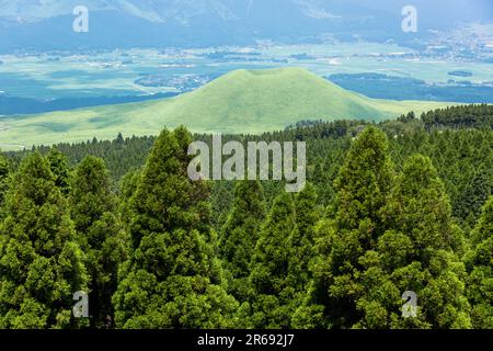 Rice Mound in Aso Stock Photo - Alamy