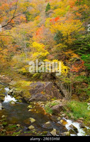 Sandankyo in Autumn Stock Photo - Alamy