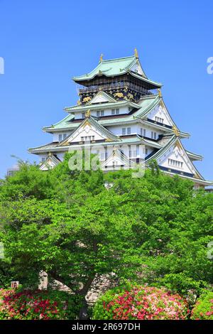 Osaka Castle tower and azalea in fresh green Stock Photo - Alamy