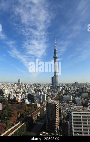Sumida Park and Tokyo Sky Tree Stock Photo - Alamy