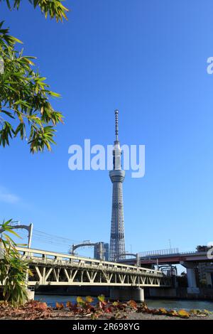 Tobu Isezaki Line and Tokyo Sky Tree Stock Photo - Alamy