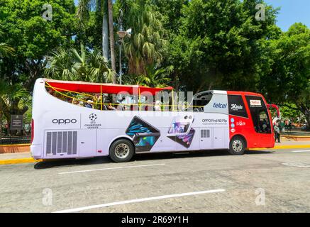 Open topped city tour single decker tourist bus, Plaza Grande, Merida ...