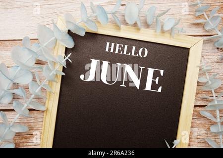 Hello June typography text on paper card decorate with eucalyptus on ...