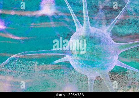 Nerves The cells transmit signals, illustration, natural science ...